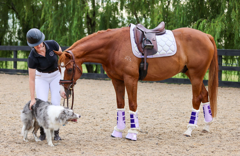 Silverleaf Equestrian