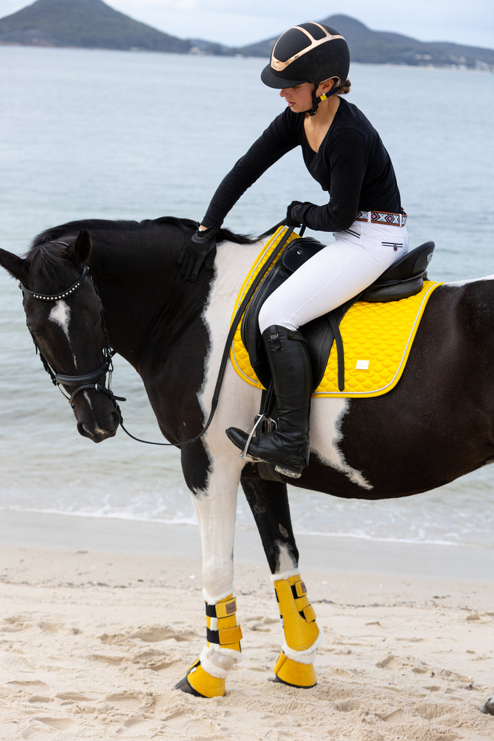 Silverleaf Equestrian