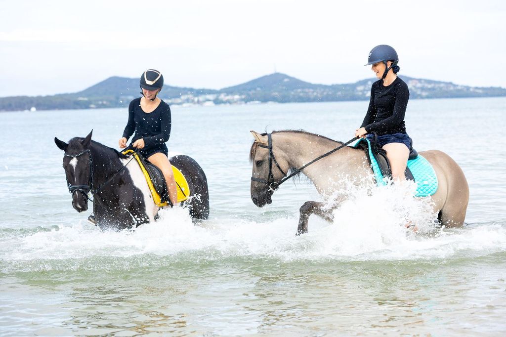 Silverleaf Equestrian